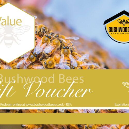 Real London honey, UK Honey Bee Nucleus Colonies, Beekeeping Courses ...